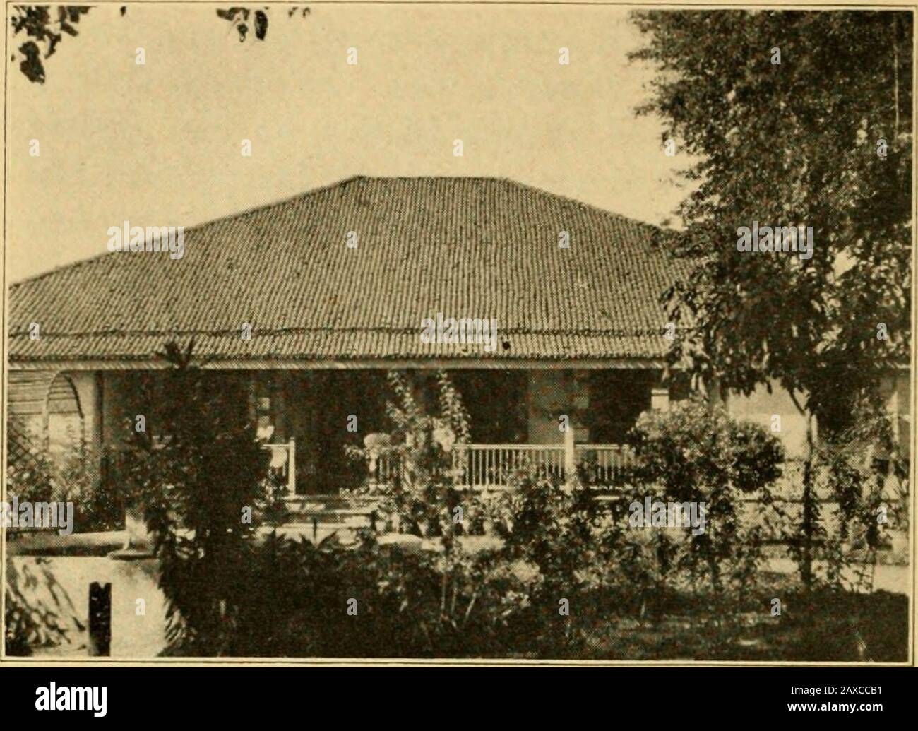 Missions and the church . Bulsar Church, India, and the Bible Students ...