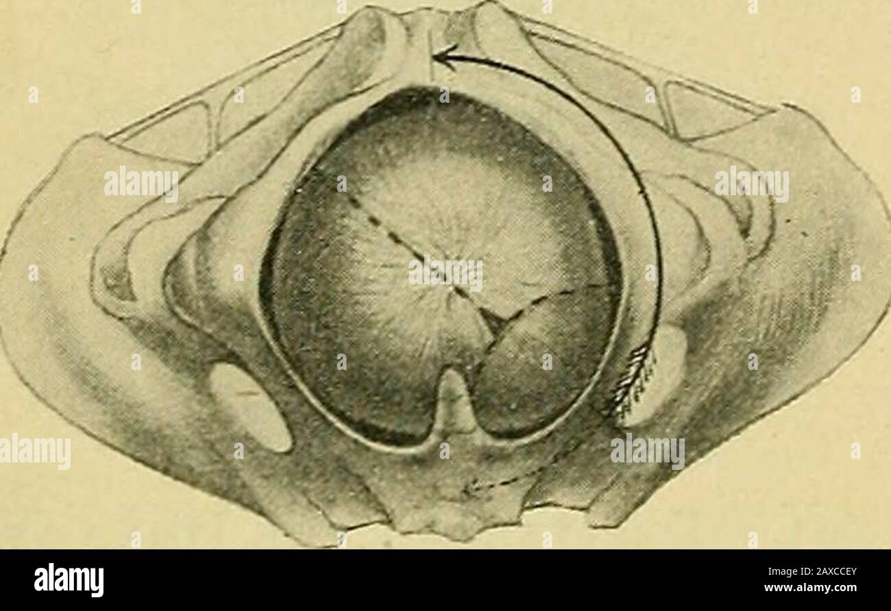Vertex presentation hi-res stock photography and images - Alamy