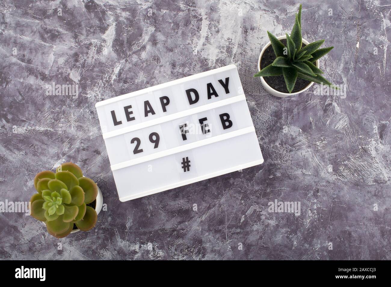 White block calendar present date 29 and month February and plant. Leap ...