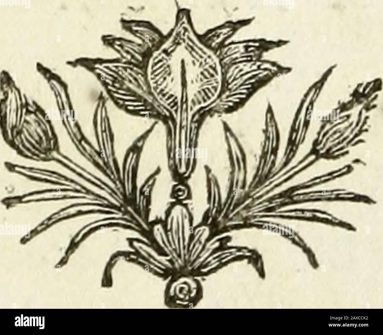 Dow brae hi-res stock photography and images - Alamy