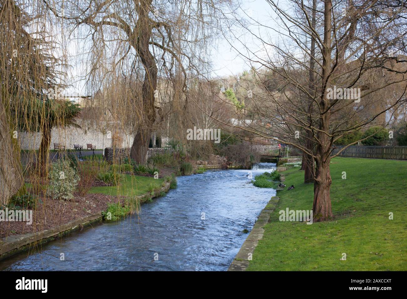 Winchester water meadows hi-res stock photography and images - Alamy
