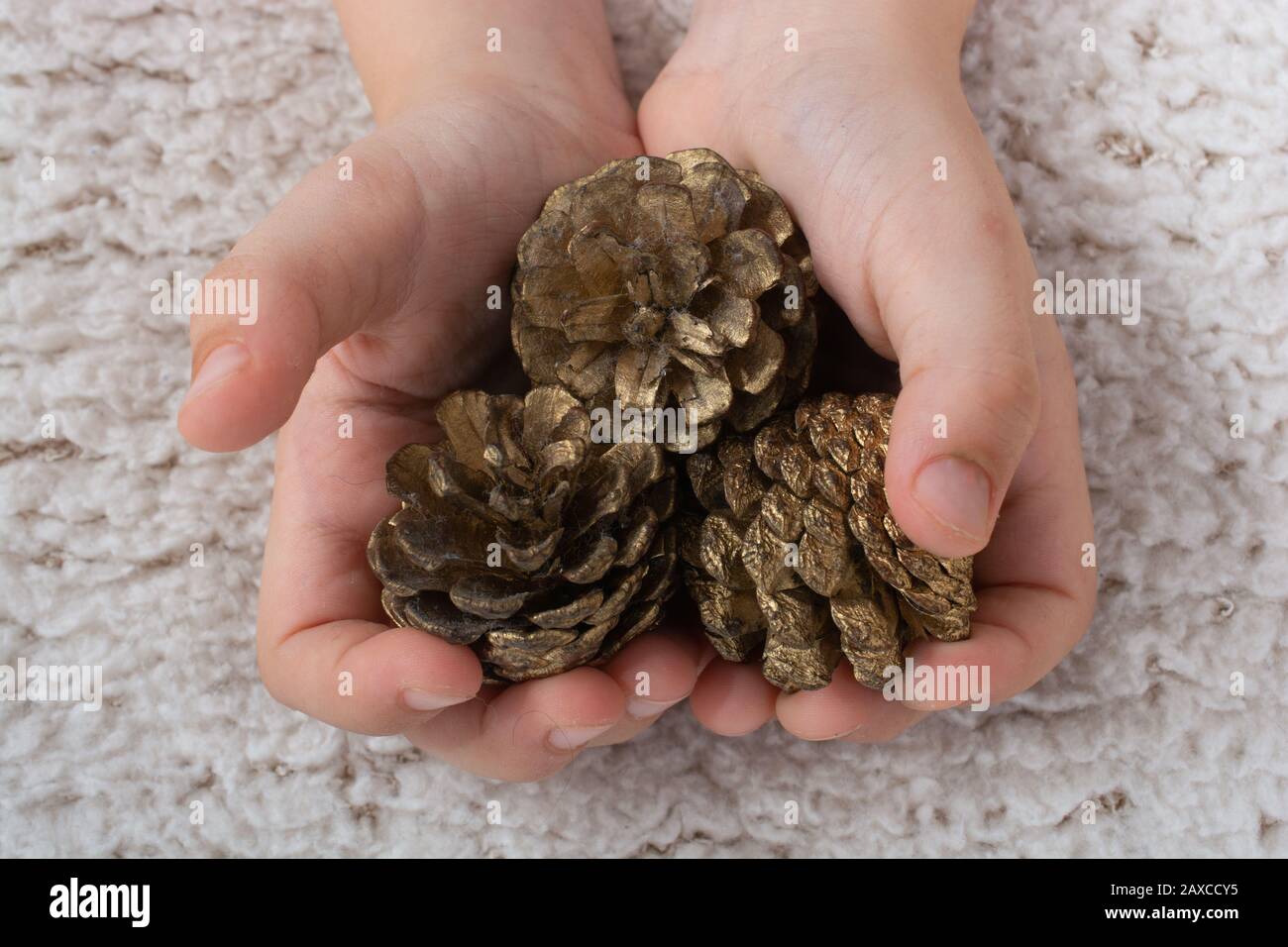 Little boy is holding pine cones in hand on white background Stock ...