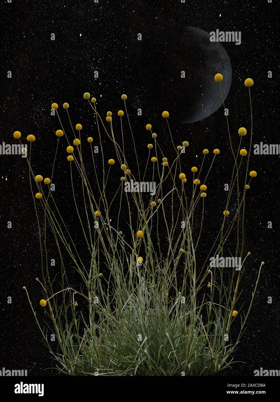 Shining moon hi-res stock photography and images - Alamy