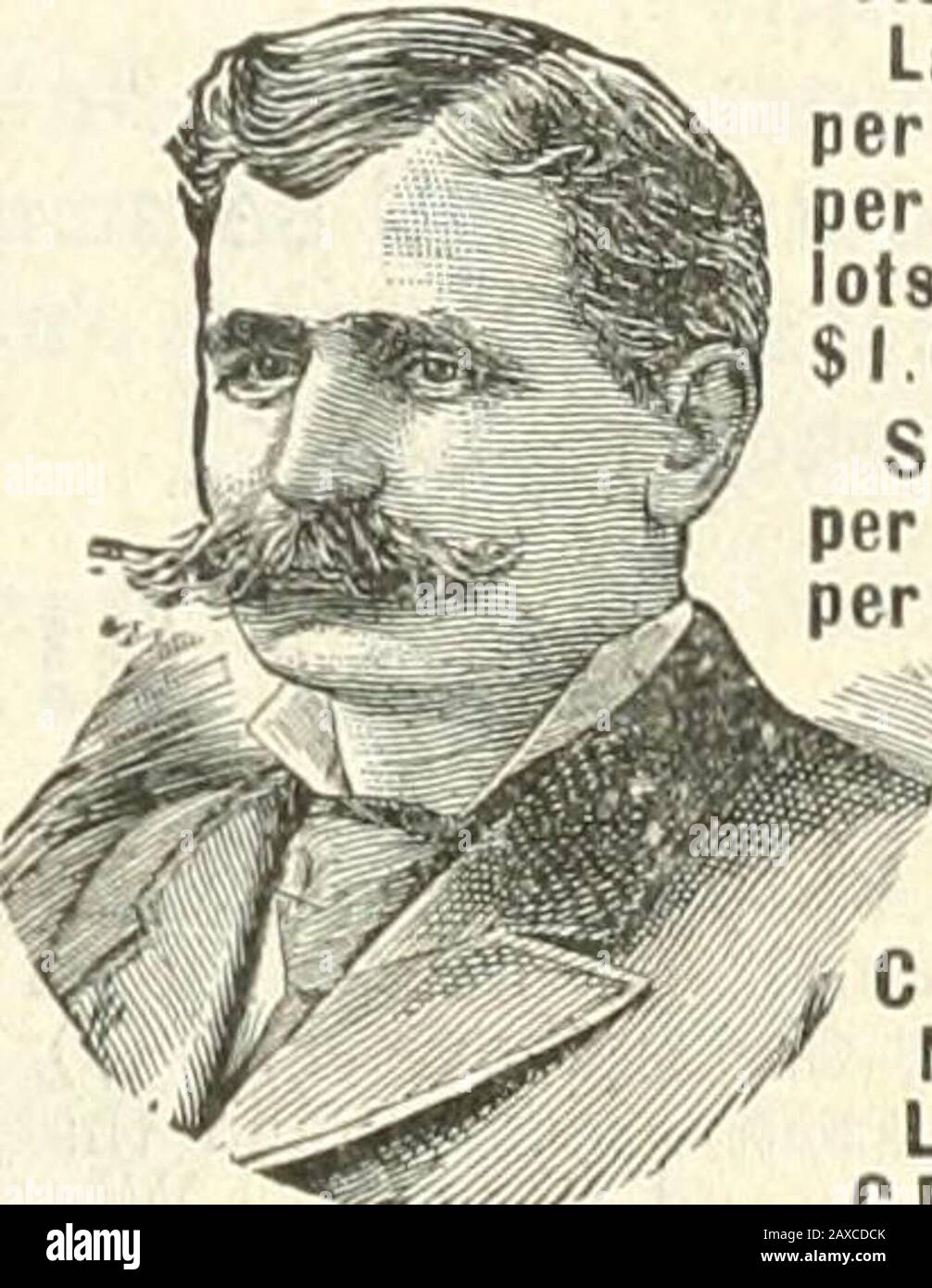 Saxin hi-res stock photography and images - Alamy