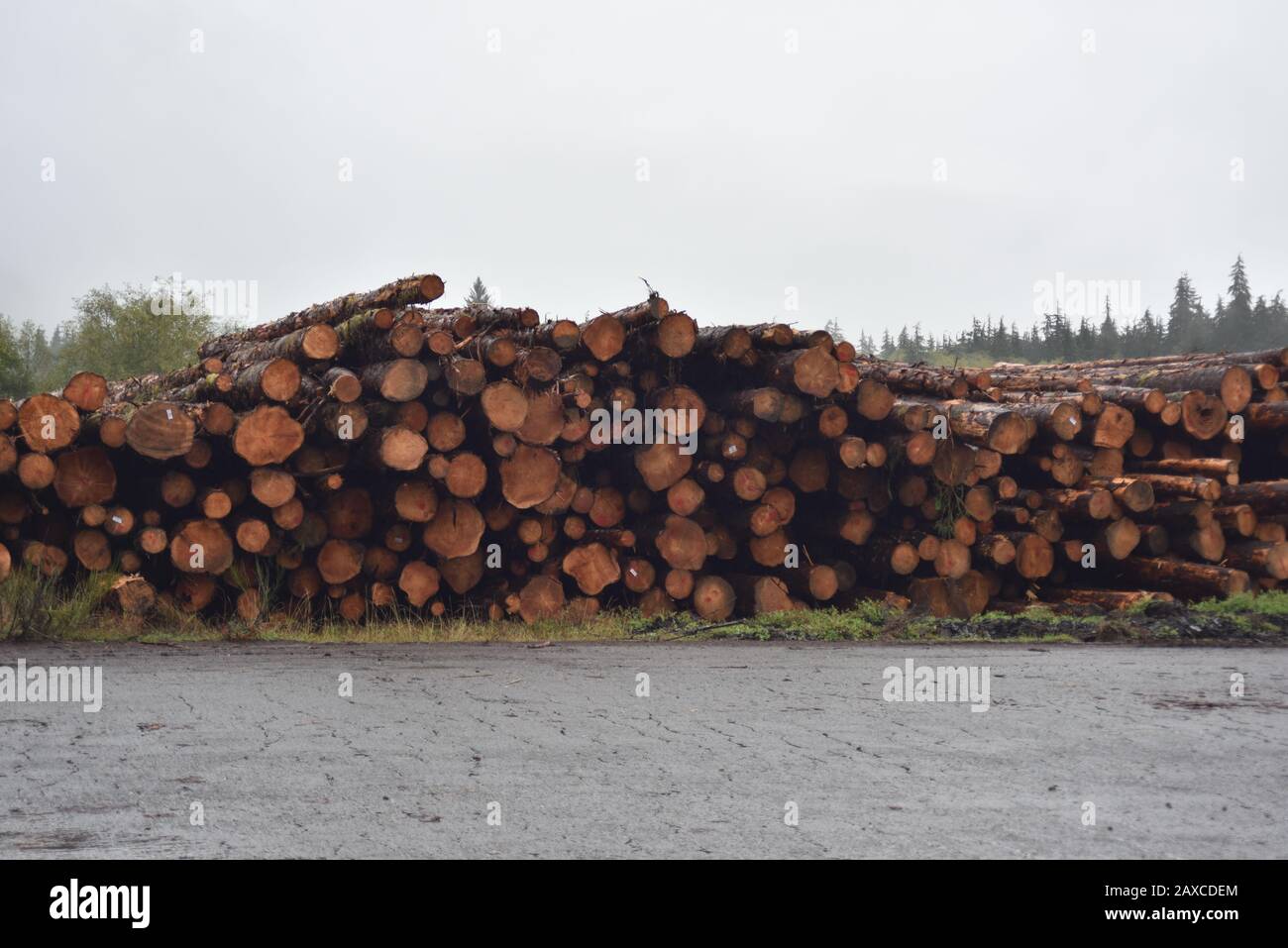 Alta forest products lumber fence hi-res stock photography and images ...