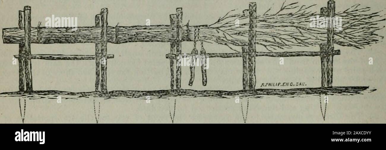 Appendix cross section hi-res stock photography and images - Alamy
