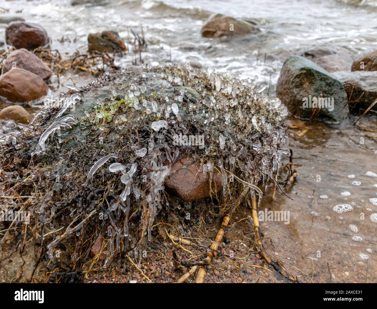 abstract frozen texture of frozen seaweed ice, blurred background Stock ...