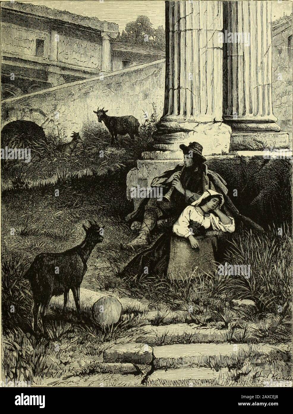 Corpse bell hi-res stock photography and images - Alamy