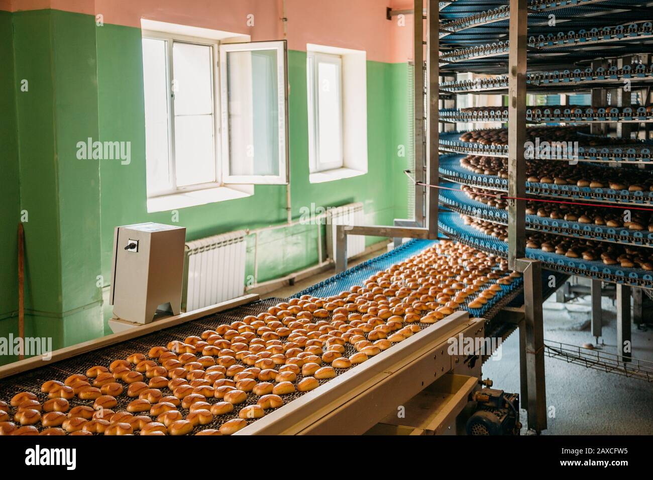 Automated round conveyor machine in bakery food factory, cookies and ...