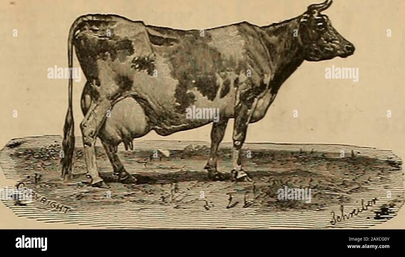 500 sutter hi-res stock photography and images - Alamy