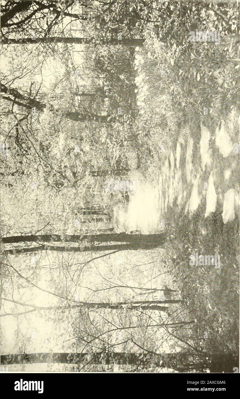 Cluttered surfaces hi-res stock photography and images - Alamy