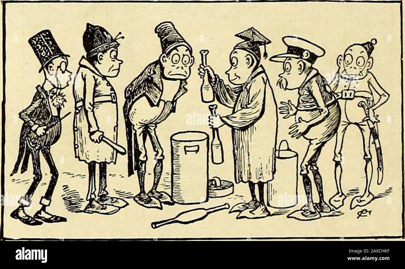 Cow cross section hi-res stock photography and images - Alamy