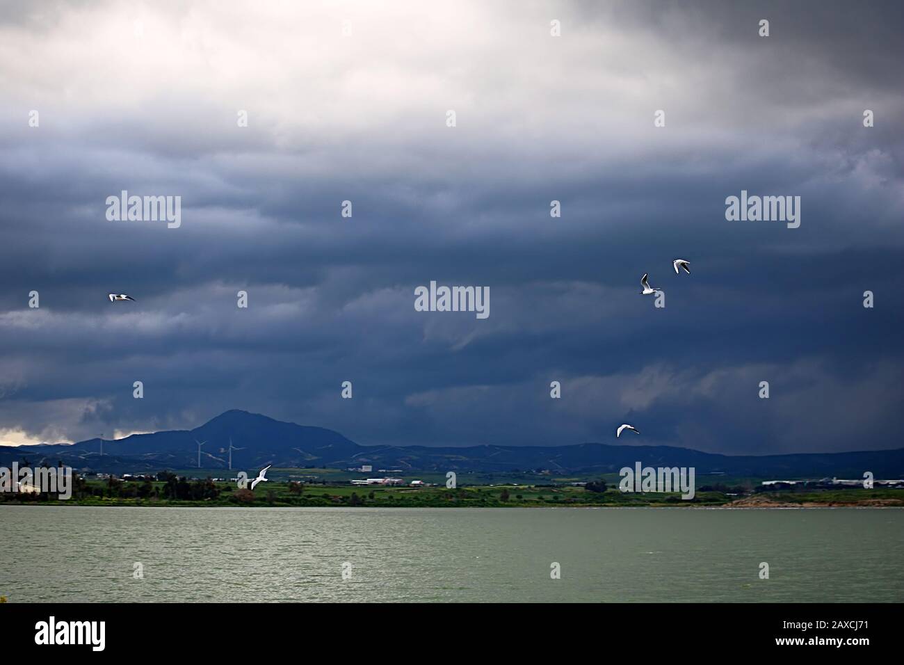 Flying over beautiful lake island hi-res stock photography and images ...