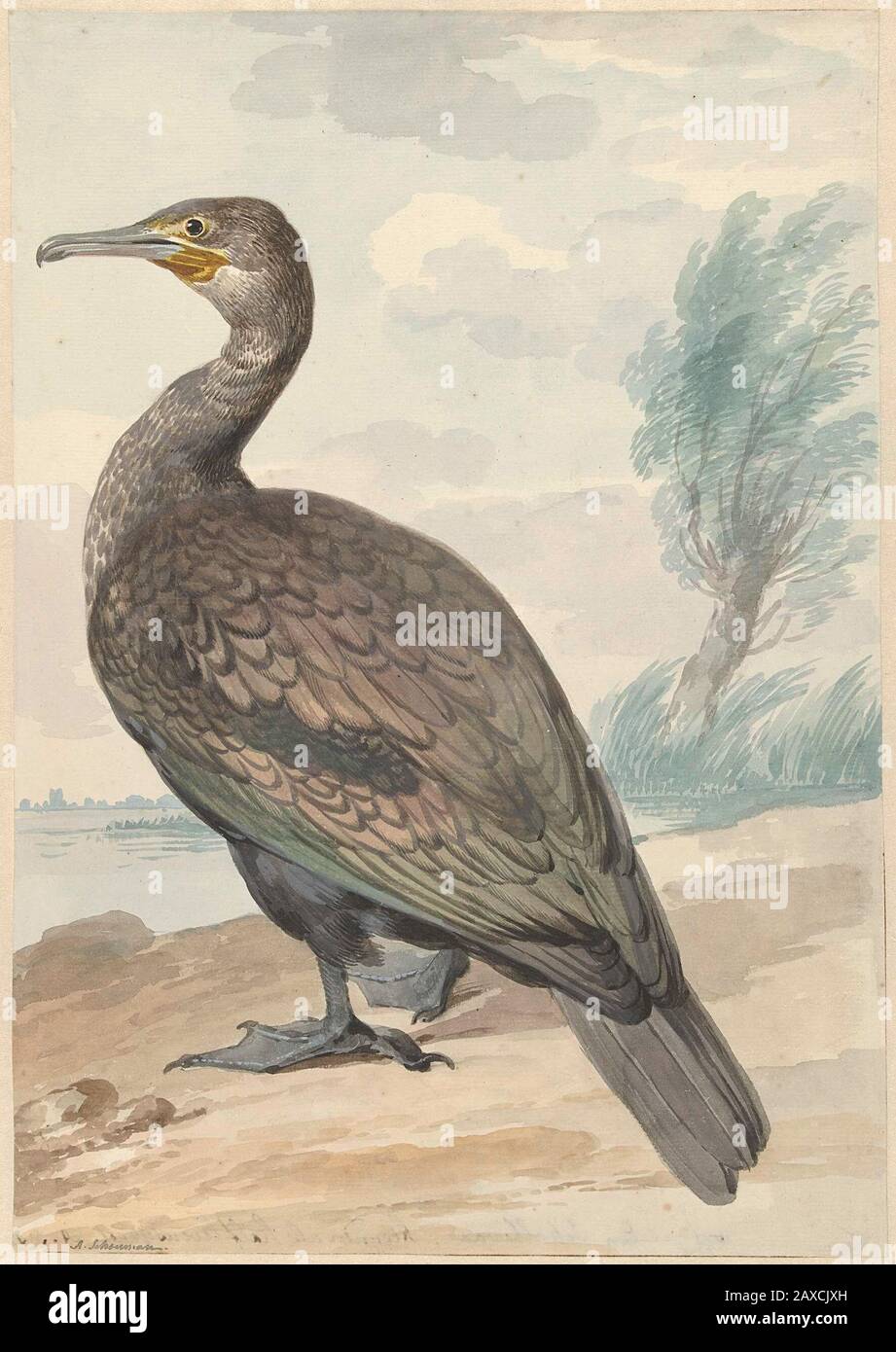 1720 1792 hi-res stock photography and images - Alamy