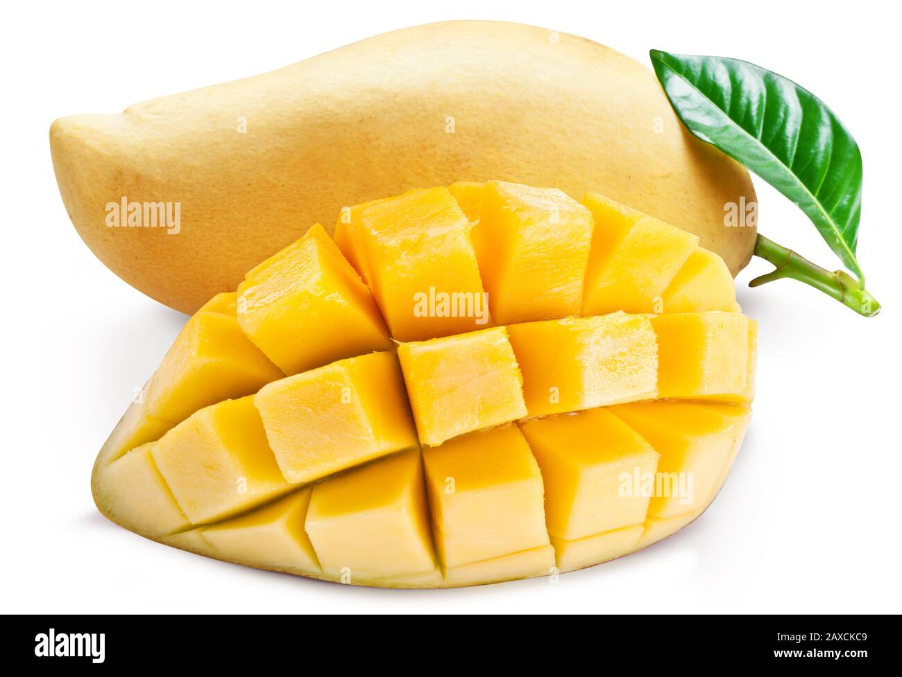 Mango fruits with water drops. Isolated on a white background. File ...