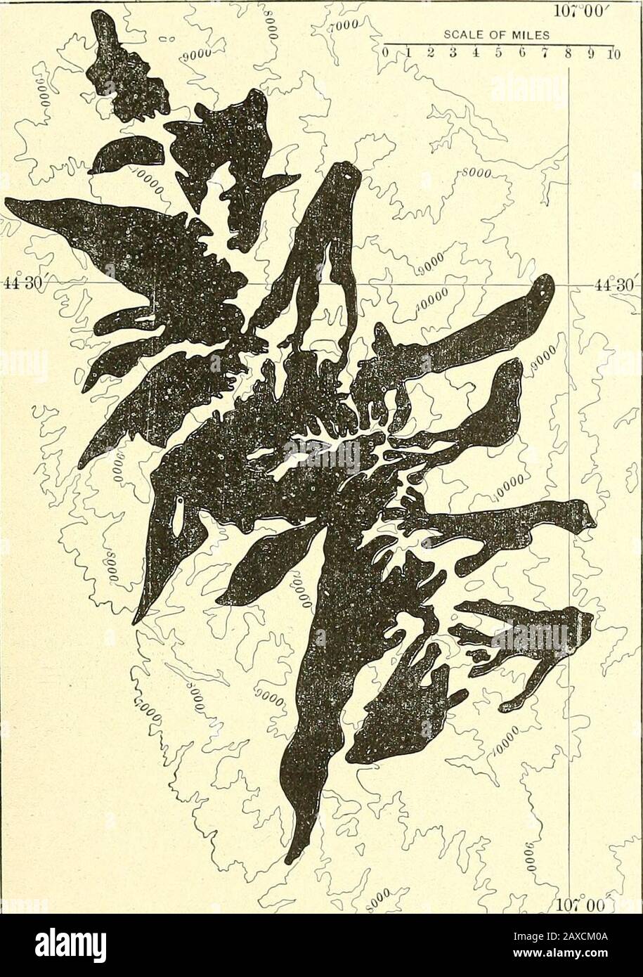 Forest physiography; physiography of the United States and principles ...