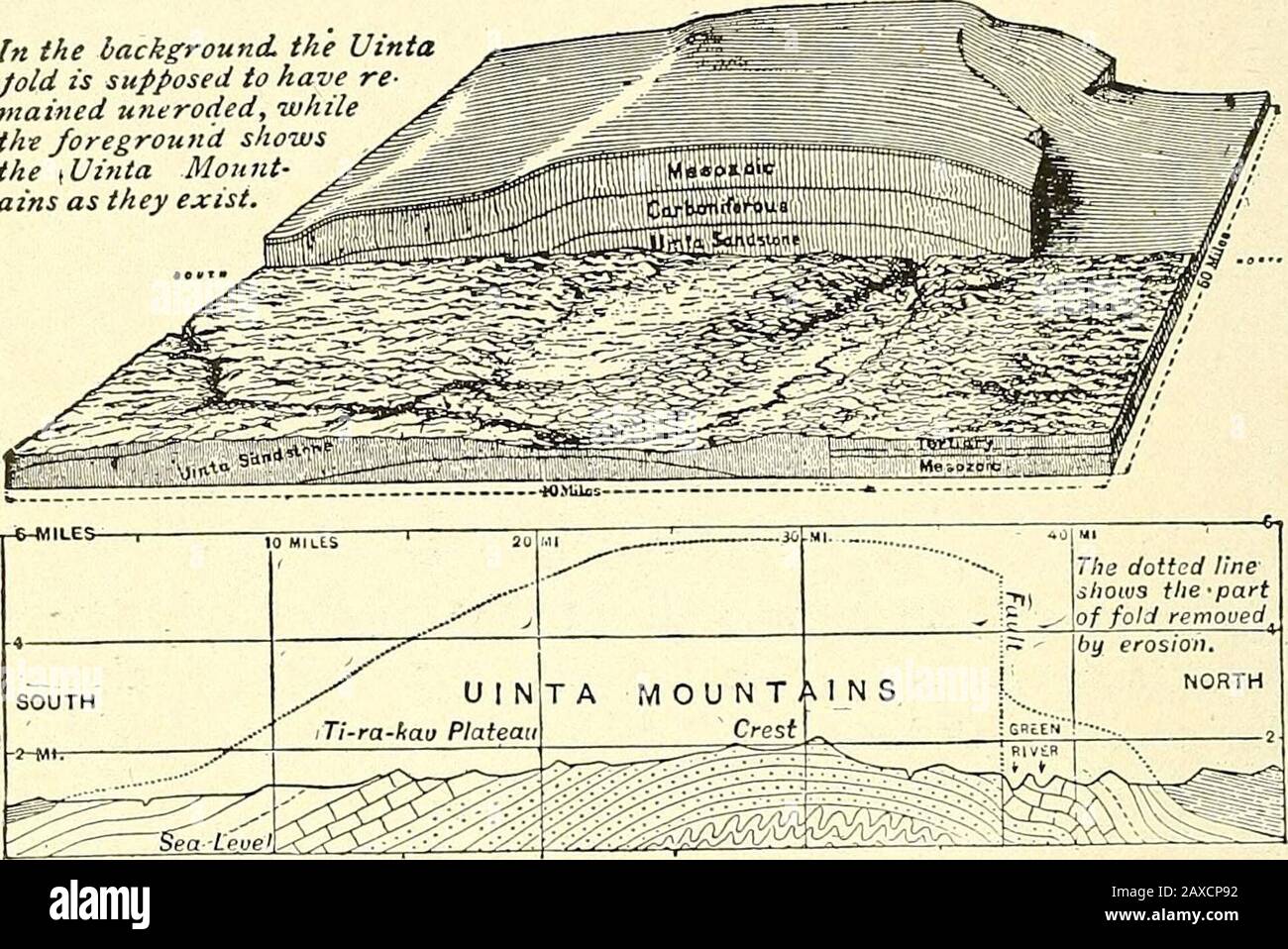 Forest physiography; physiography of the United States and principles ...