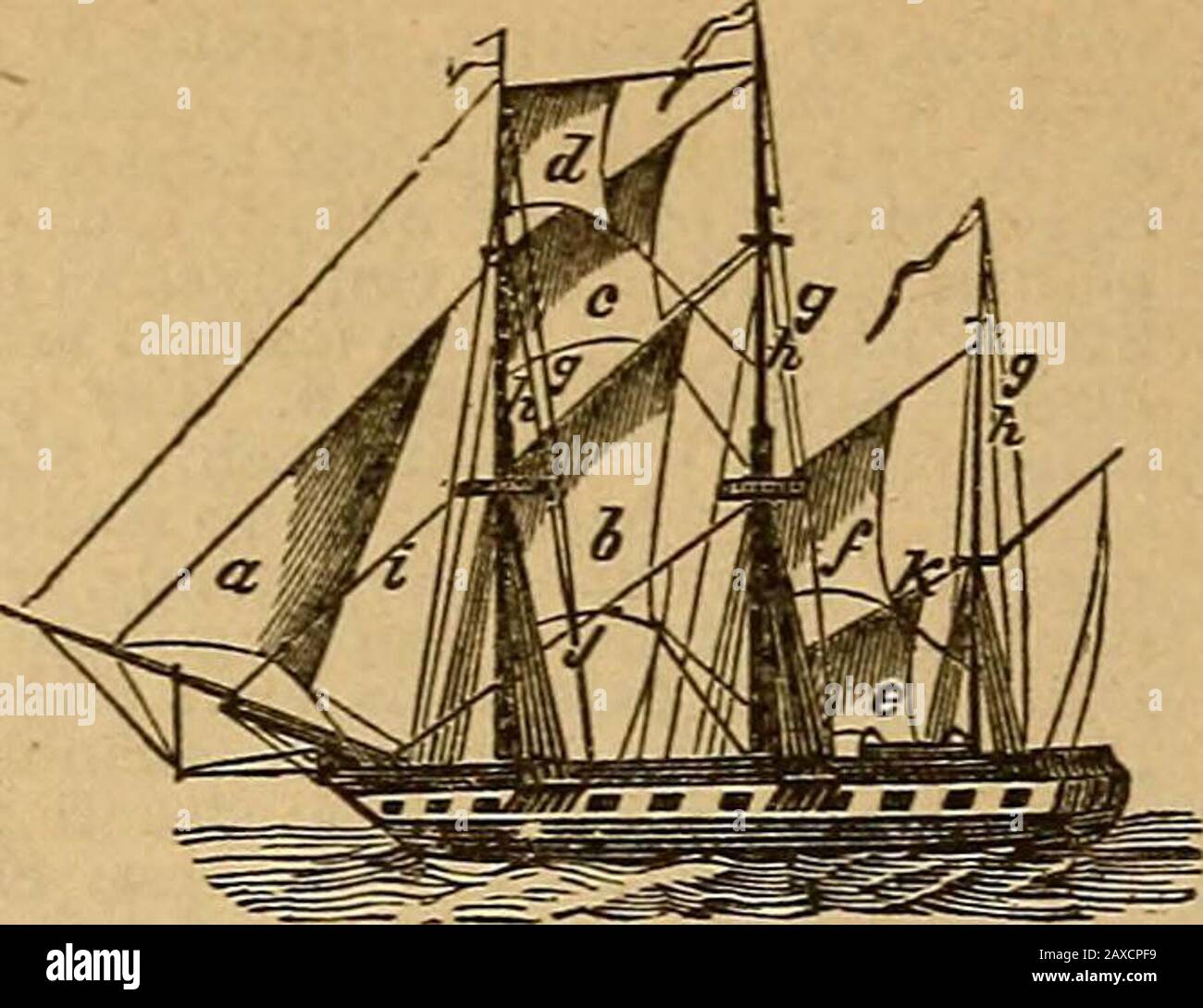 trust webster dictionary