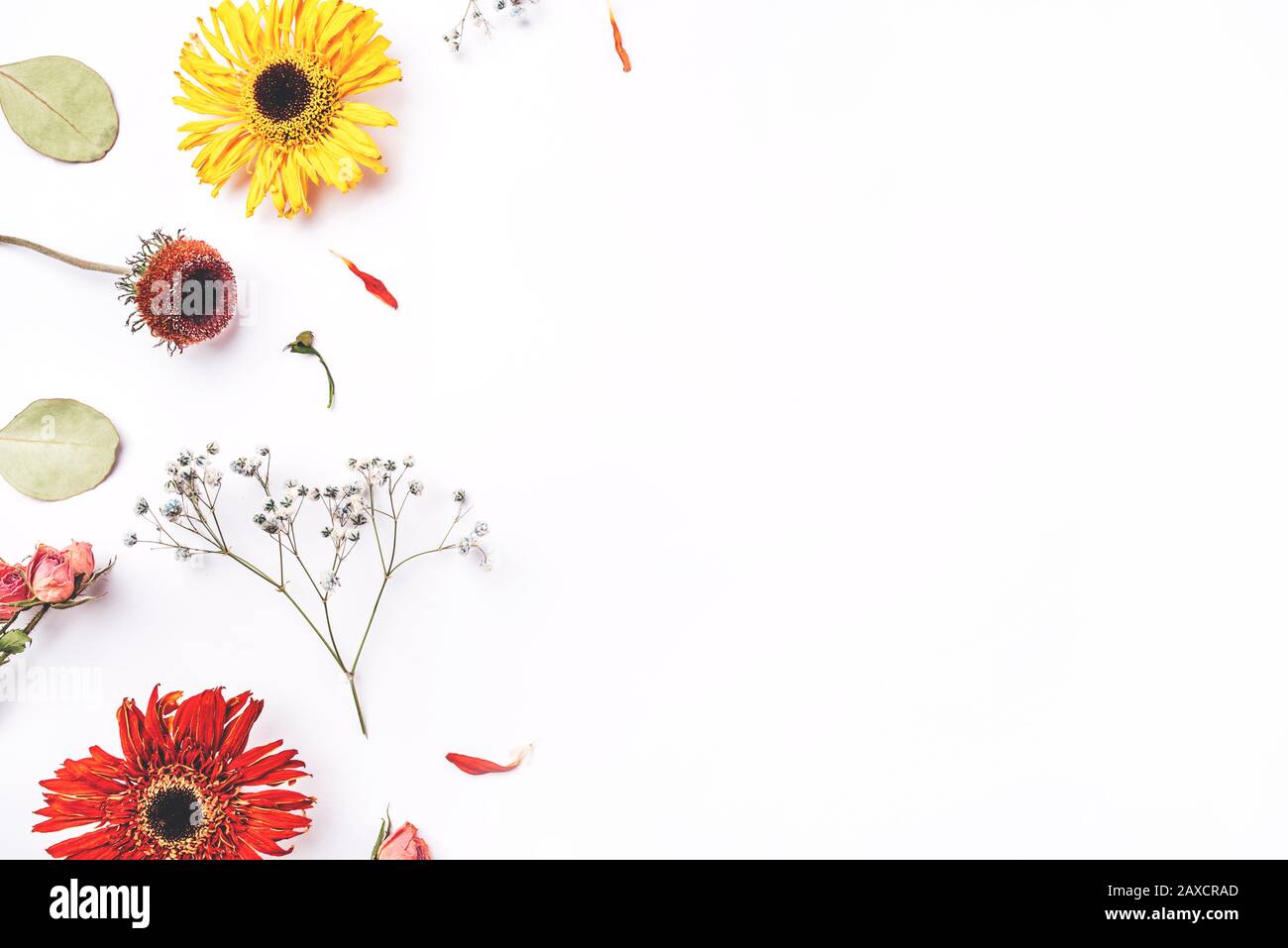 Frame of dry flowers on white background Stock Photo - Alamy