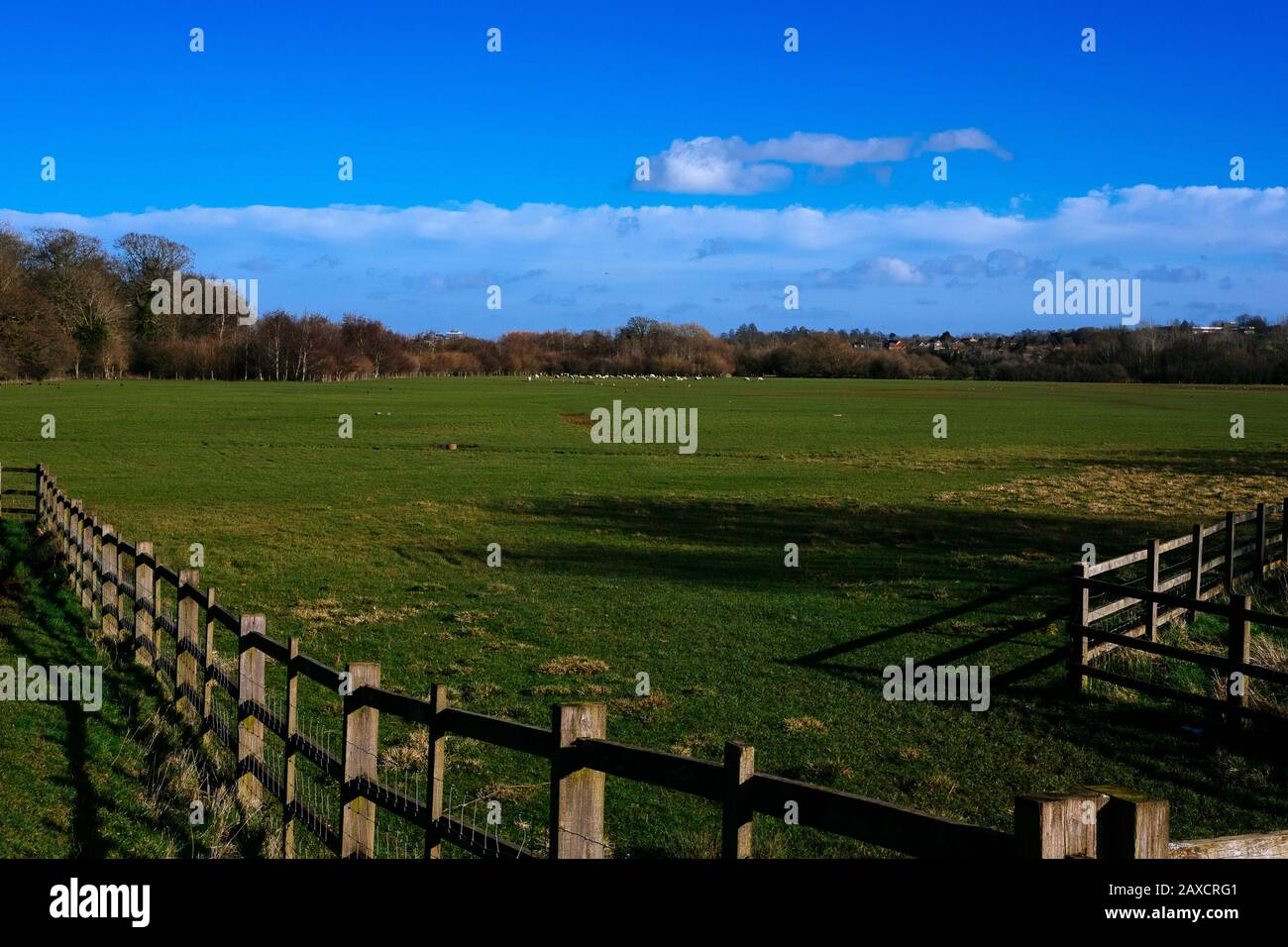 A view Upton Country Park, Northampton Stock Photo - Alamy