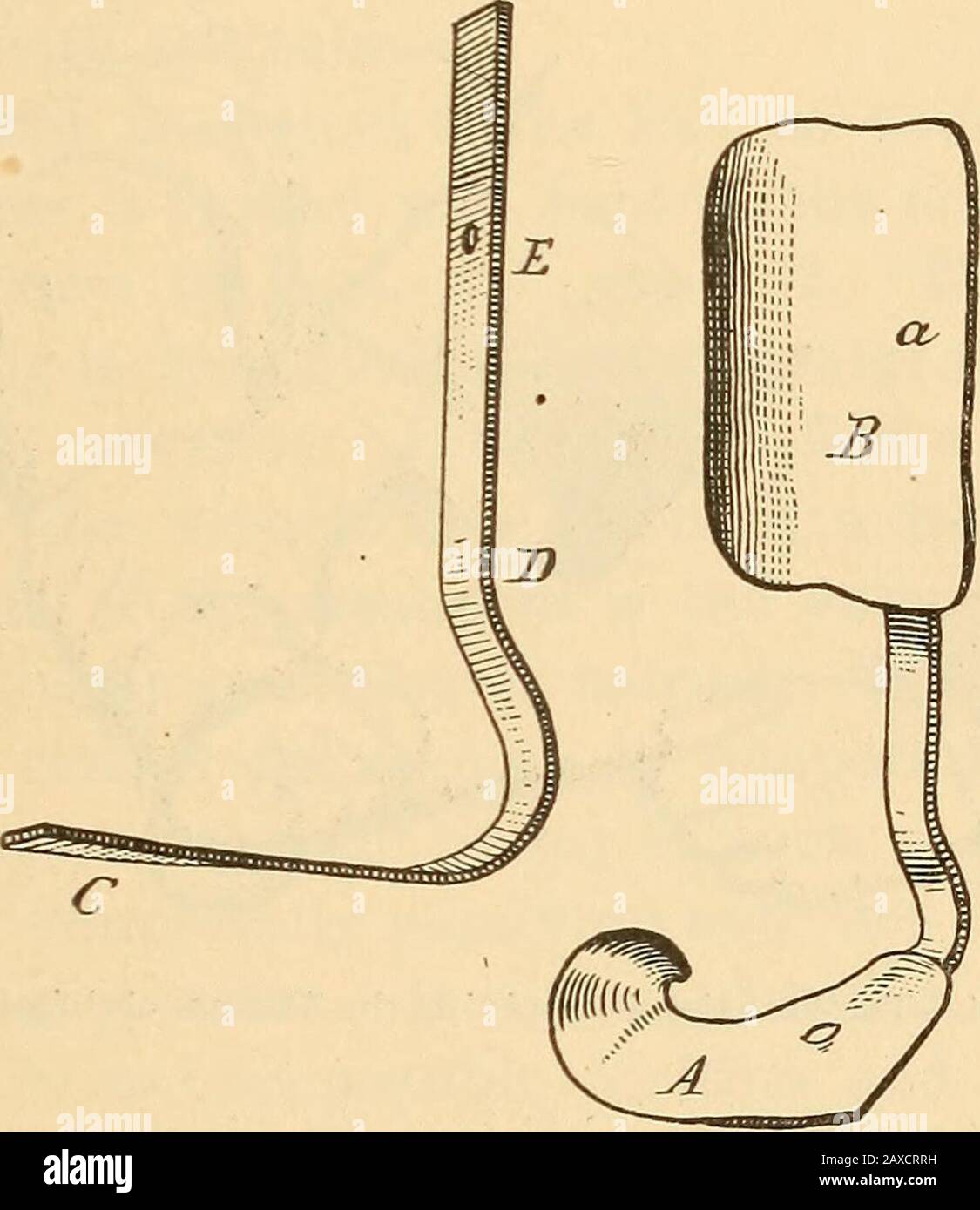 Lectures on orthopedic surgery . Fig. 251.—Twisting the foot with ...