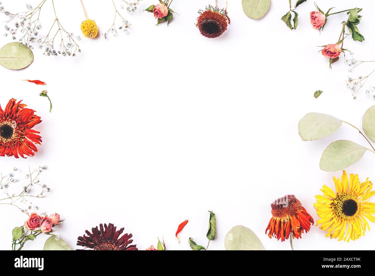 Frame of dry flowers on white background Stock Photo - Alamy