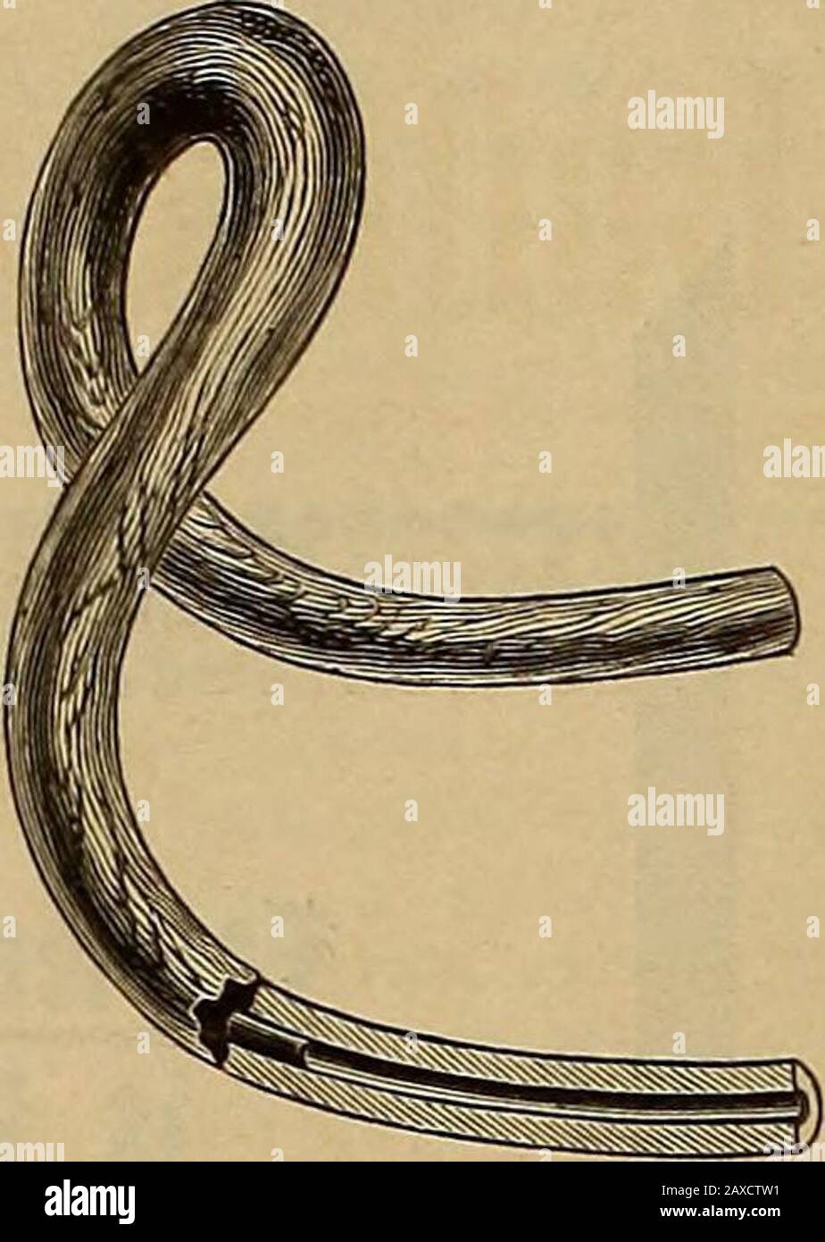 George Coombs High Resolution Stock Photography and Images - Alamy