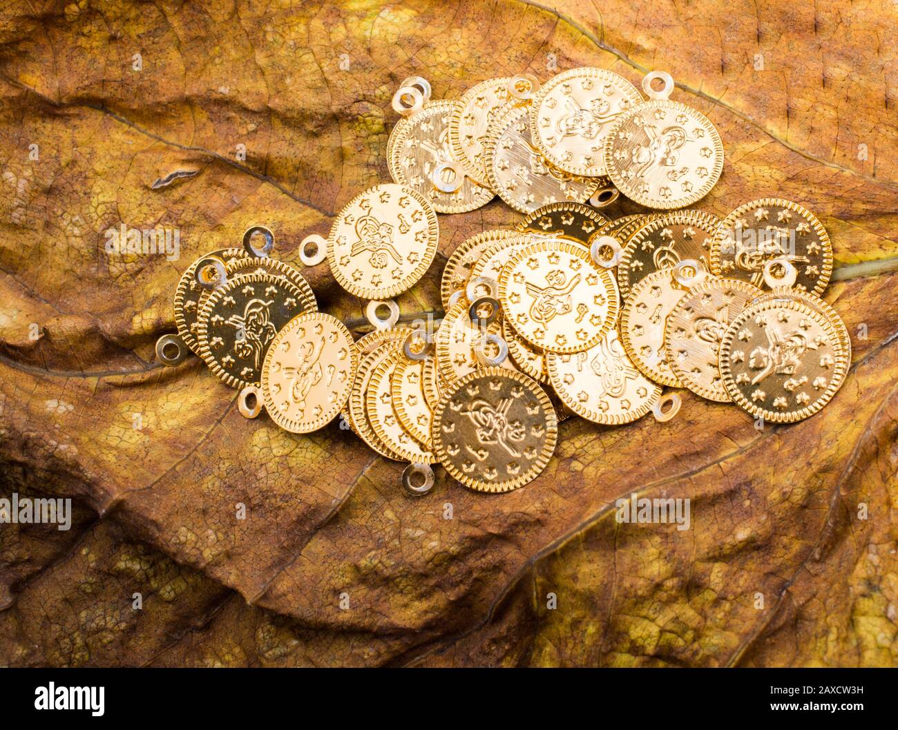 Plenty of fake gold coins are on a dry leaf Stock Photo - Alamy