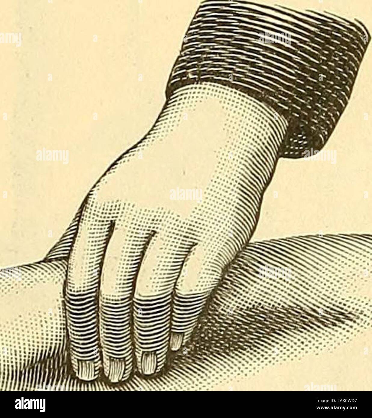 Daumenballen hi-res stock photography and images - Alamy