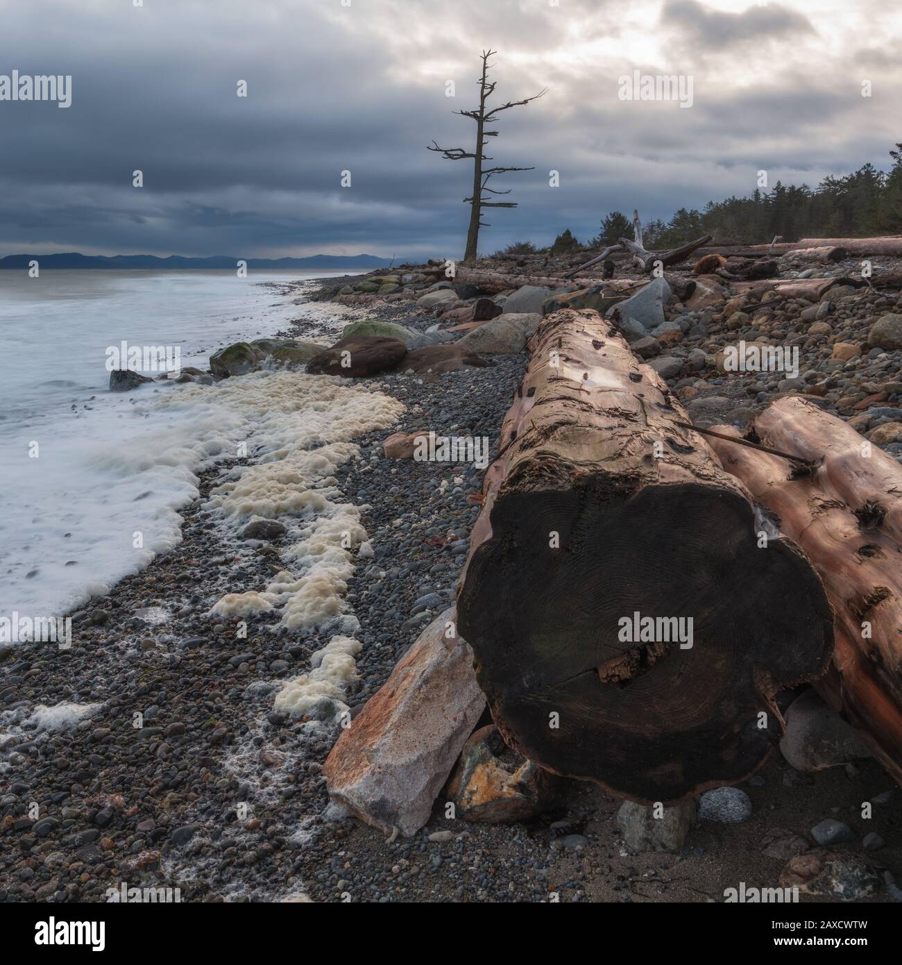 Kin beach comox valley hi-res stock photography and images - Alamy