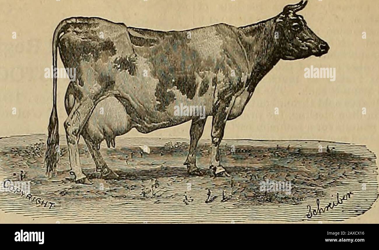 Imly hi-res stock photography and images - Alamy