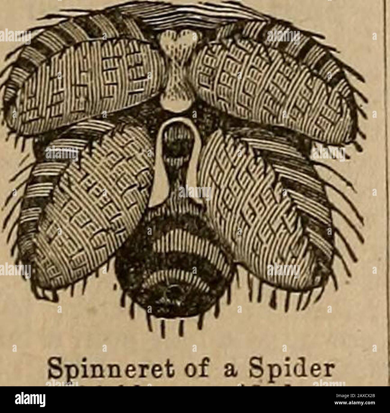 Spinneret machine hi-res stock photography and images - Alamy