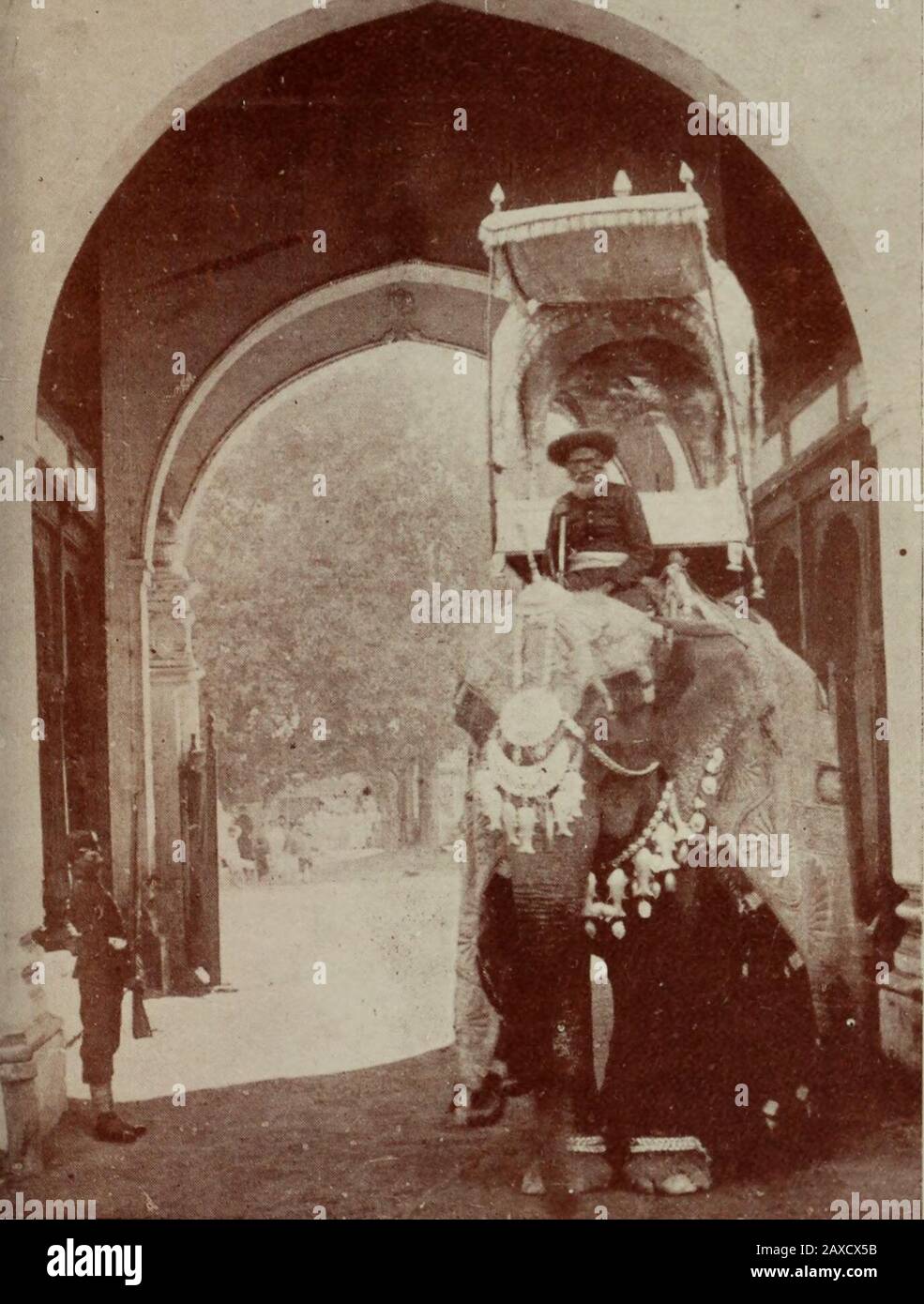 Belts clasps hi-res stock photography and images - Alamy