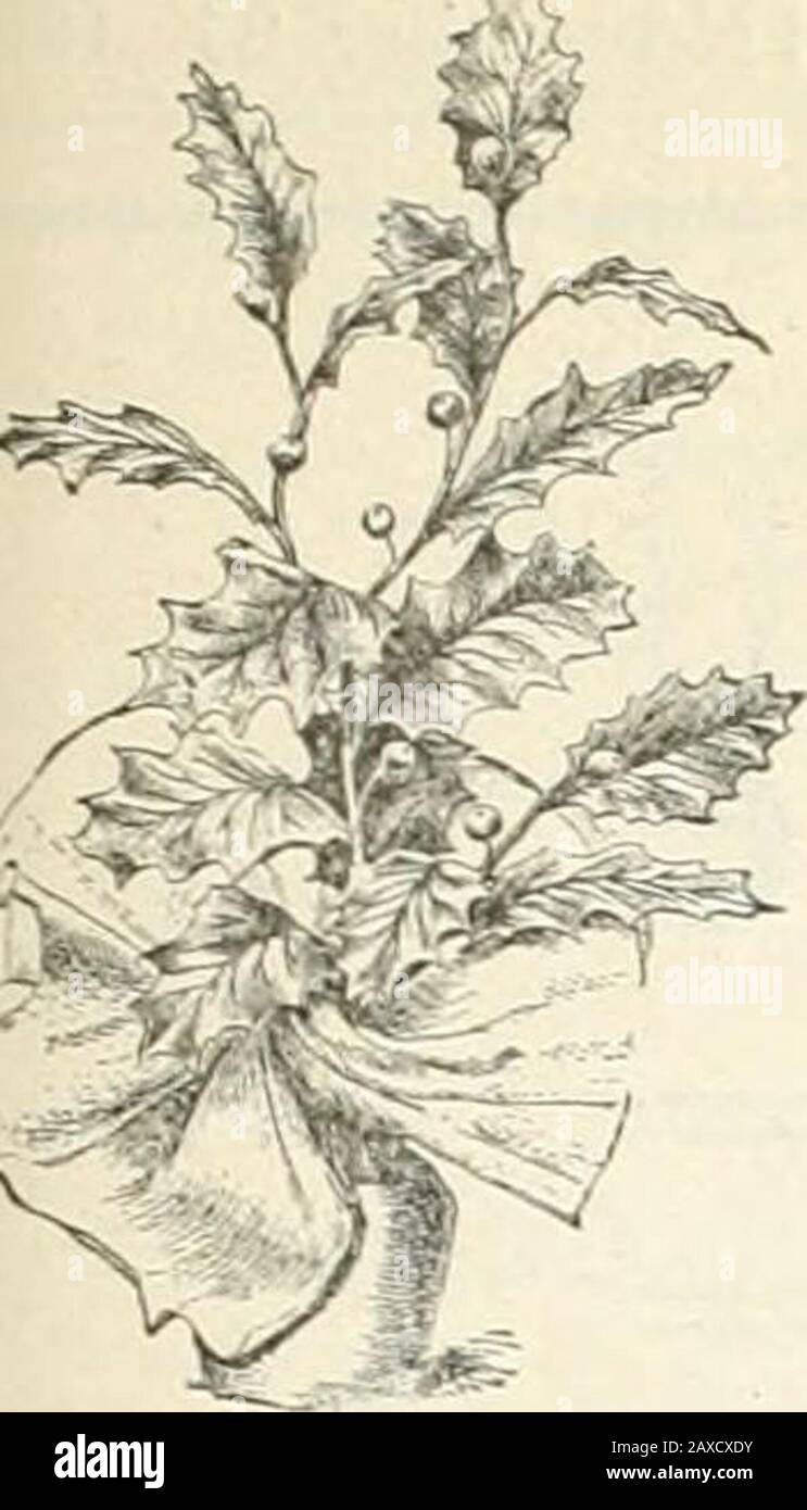 Telluric acid hi-res stock photography and images - Alamy