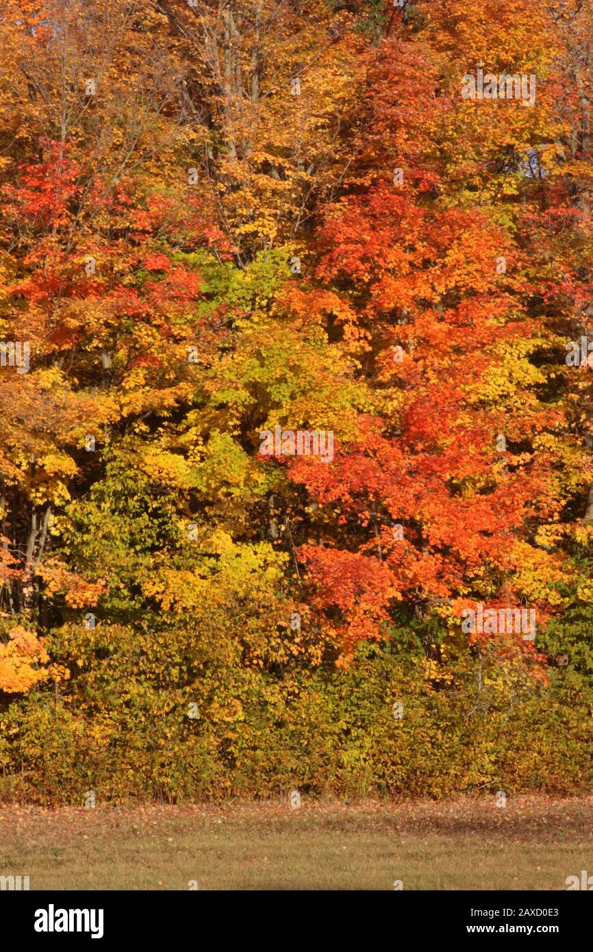 Fall Beauty in Ontario Stock Photo - Alamy