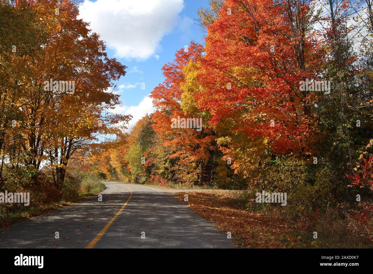 Fall Beauty in Ontario Stock Photo - Alamy