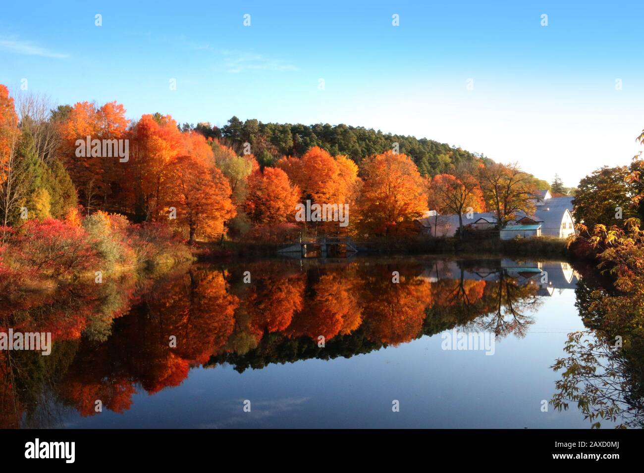 Fall Beauty in Ontario Stock Photo - Alamy