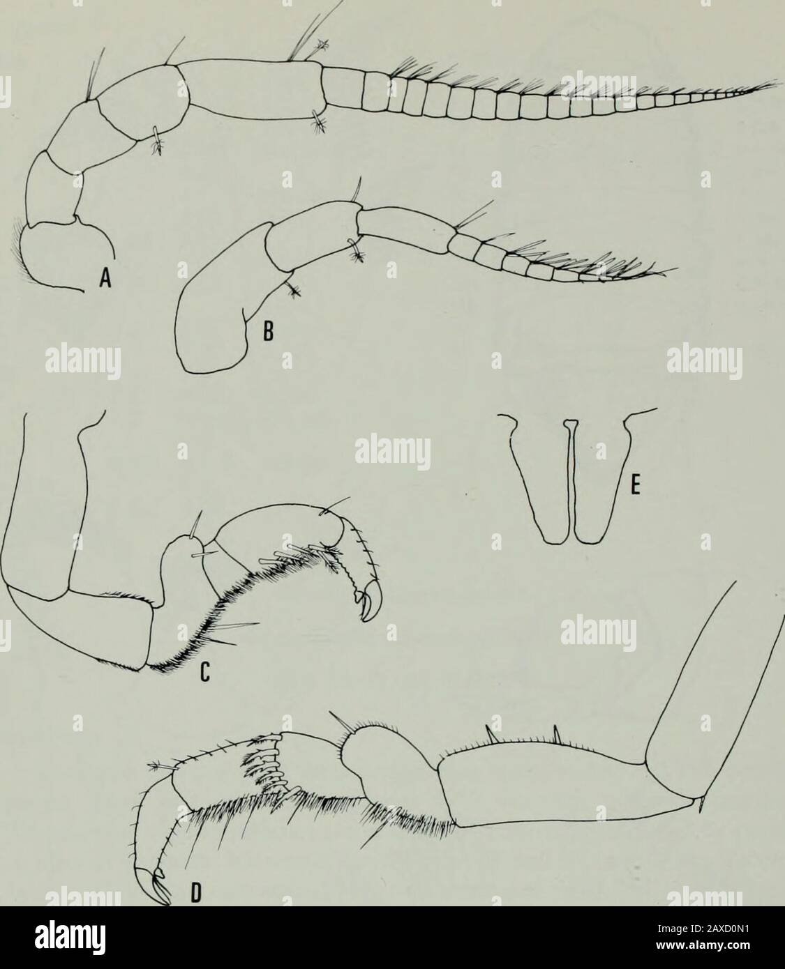 Annals of the South African MuseumAnnale van die Suid-Afrikaanse Museum ...