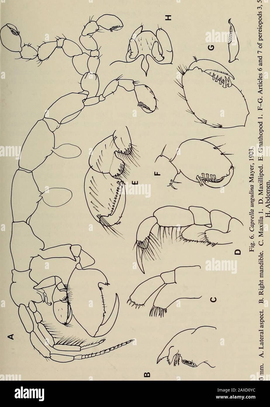 Annals of the South African Museum = Annale van die Suid-Afrikaanse ...