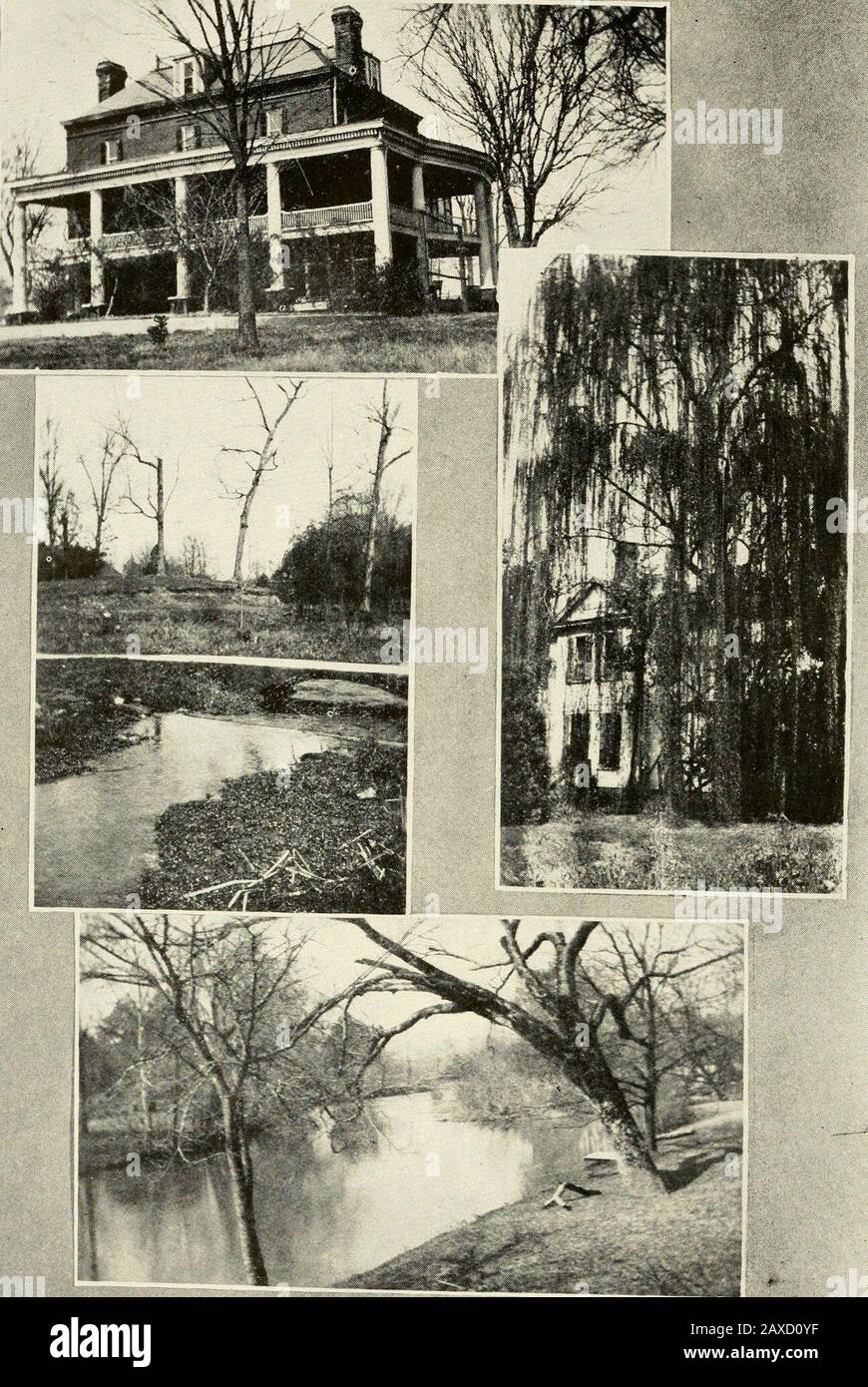 Miss floyd hi-res stock photography and images - Alamy