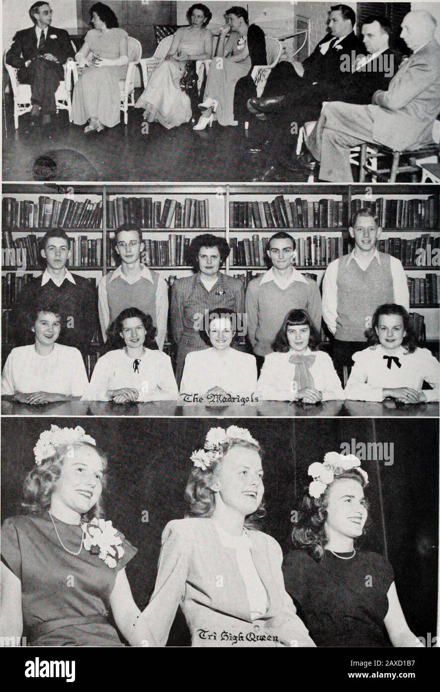 Harold finch hi-res stock photography and images - Alamy