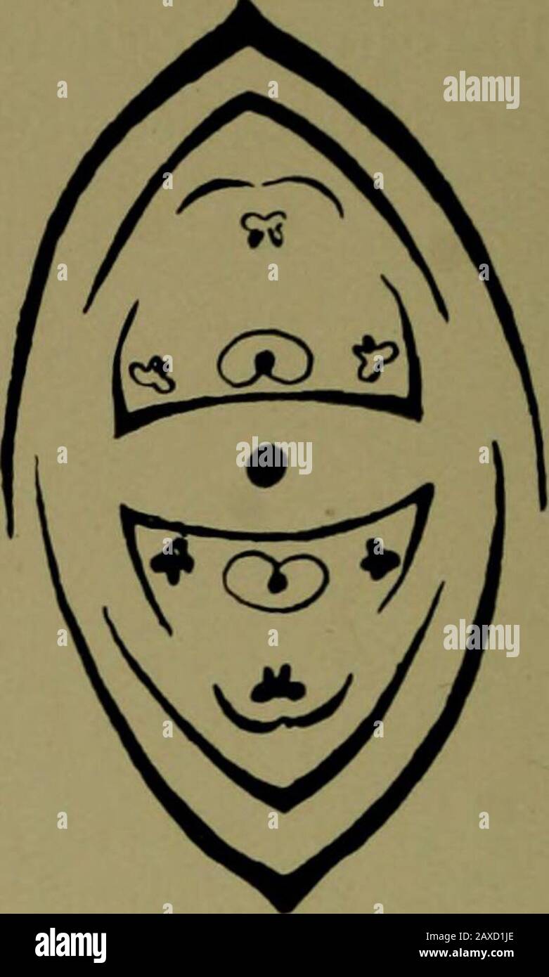 Sheath of corn hi-res stock photography and images - Alamy