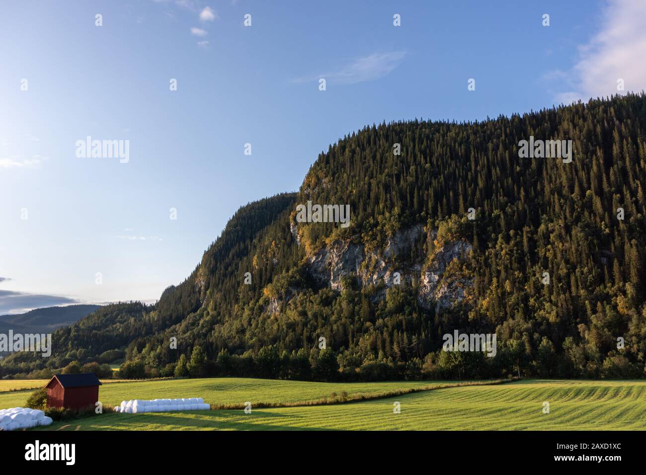 Rural Norway countryside morning sunrise view. Nice green grass fields ...