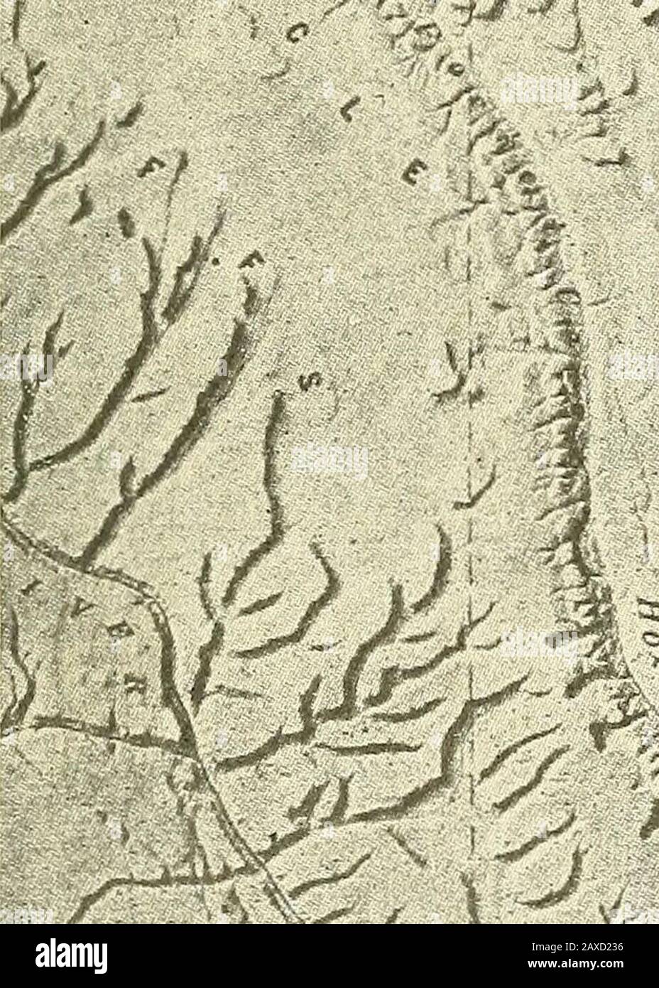 Forest physiography; physiography of the United States and principles ...