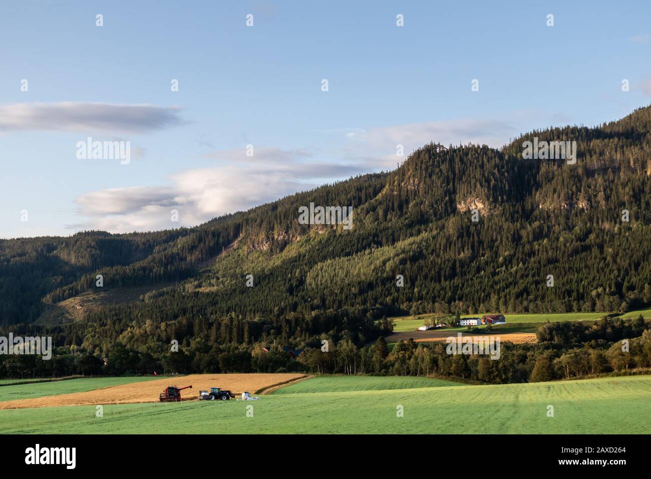 Rural Norway countryside morning sunrise view. Nice green grass fields ...