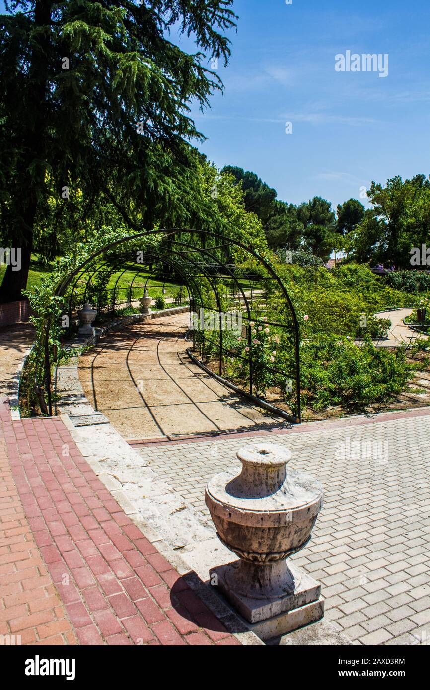 Rosaleda del Parque del Oeste, Madrid Stock Photo - Alamy
