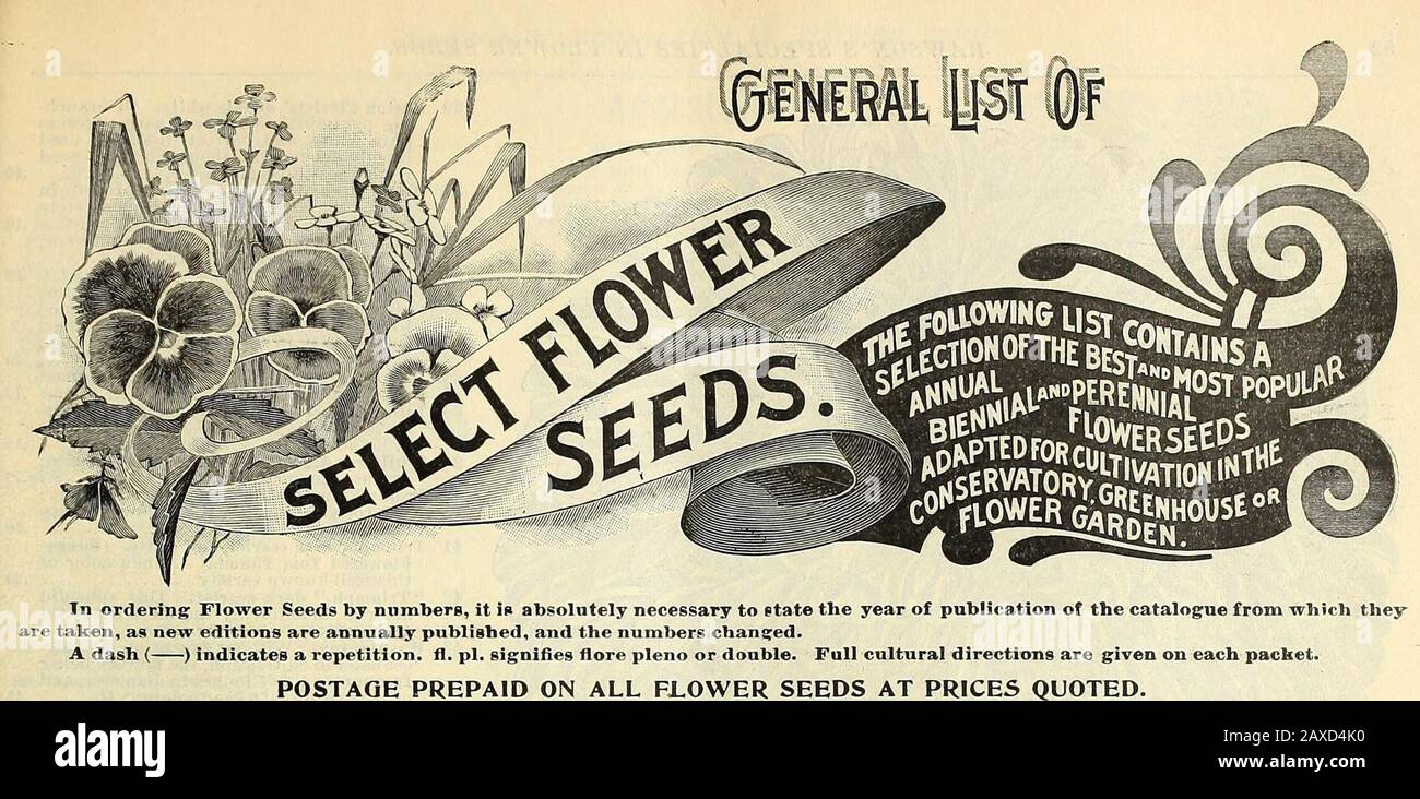 Burpee seed packets hi-res stock photography and images - Alamy