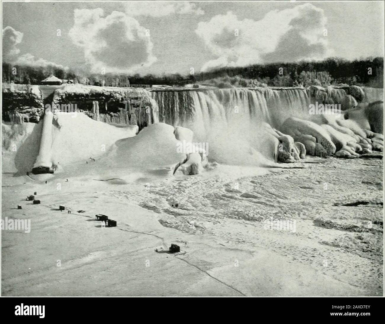 Victoria eel hi-res stock photography and images - Alamy