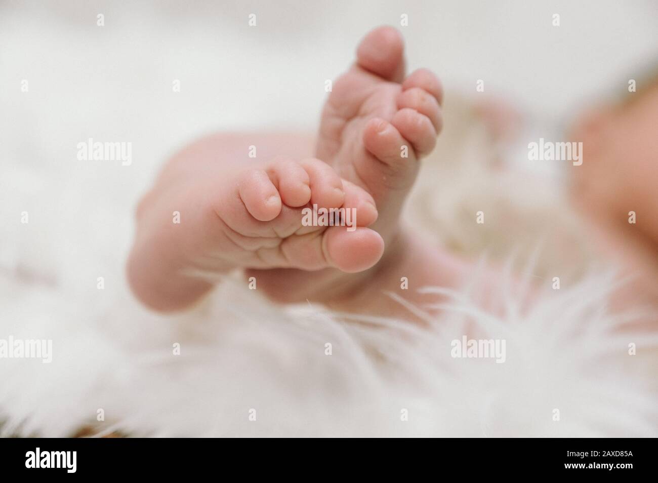 Baby feet - cute newborn - happy family moments Stock Photo - Alamy
