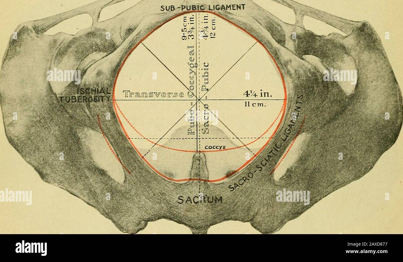 The practice of obstetrics, designed for the use of students and ...